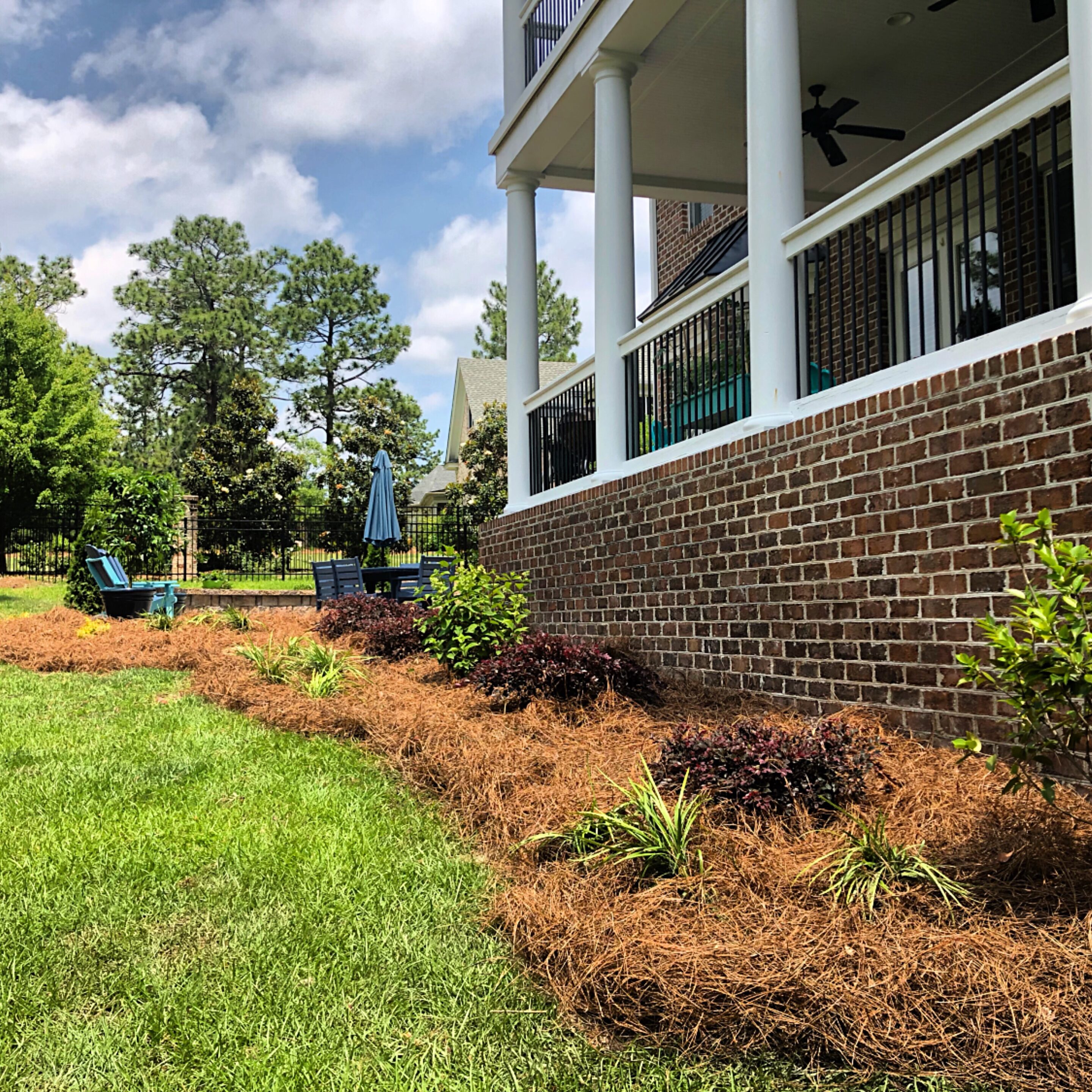 Fall is the season for planting. - Nature's Best Lawn & Landscapet